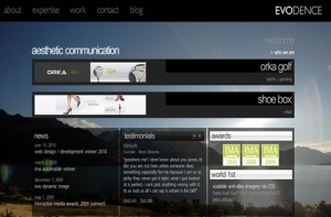 How to Maintain Transparency in Website Design?