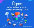 What Drives the Popularity of Figma?