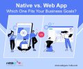 Native vs. Web App: The Business Owner's Cheat Sheet